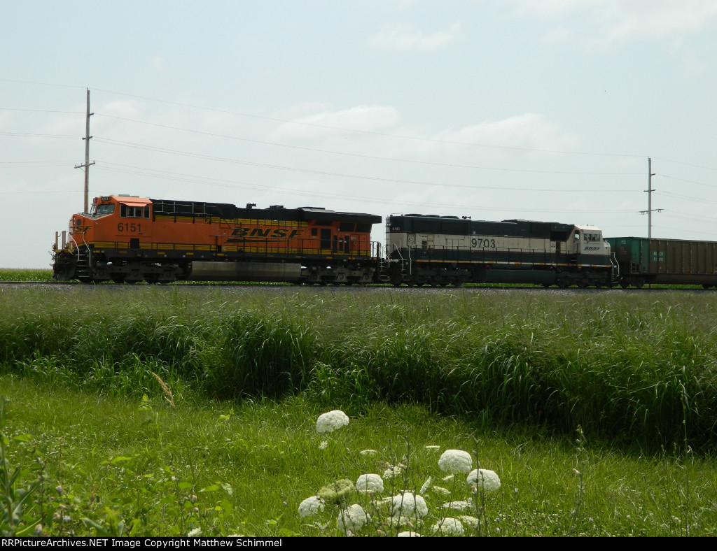 Waiting For The Green